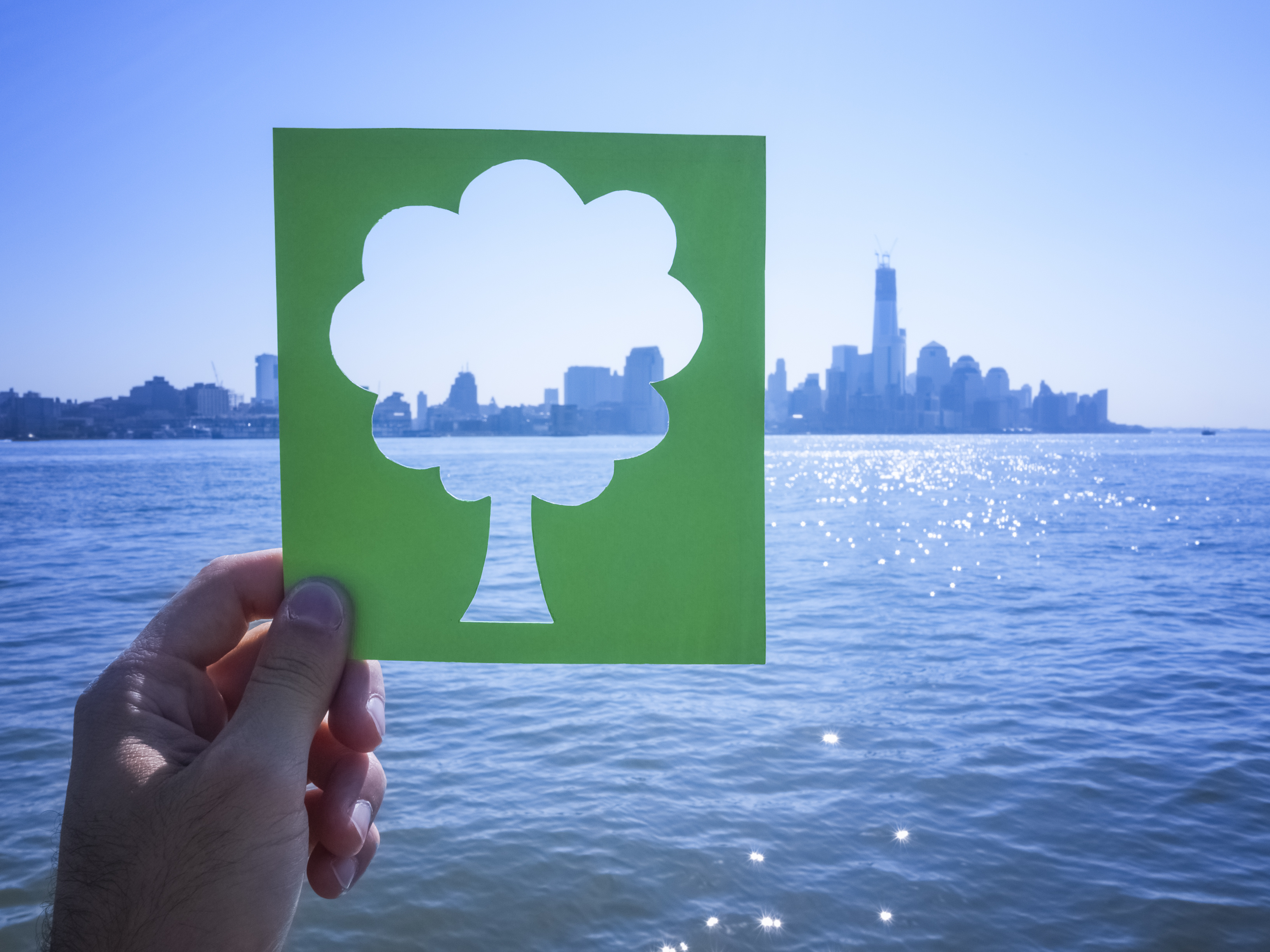 Hand holding tree shape over city - Eco Dental Blog